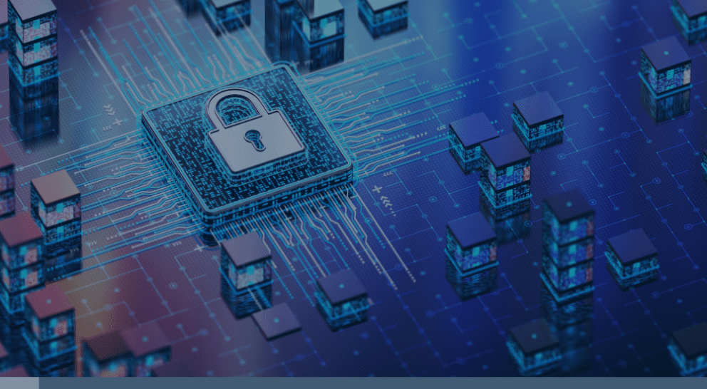 A CFO’s Guide to Protecting the Bottom Line in the Age of Cybersecurity ...